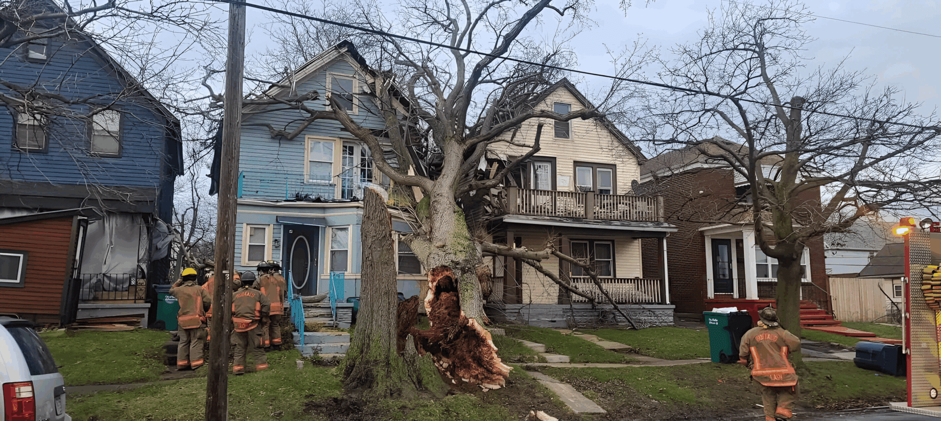 Commercial Tree Services | Greg's Tree Service